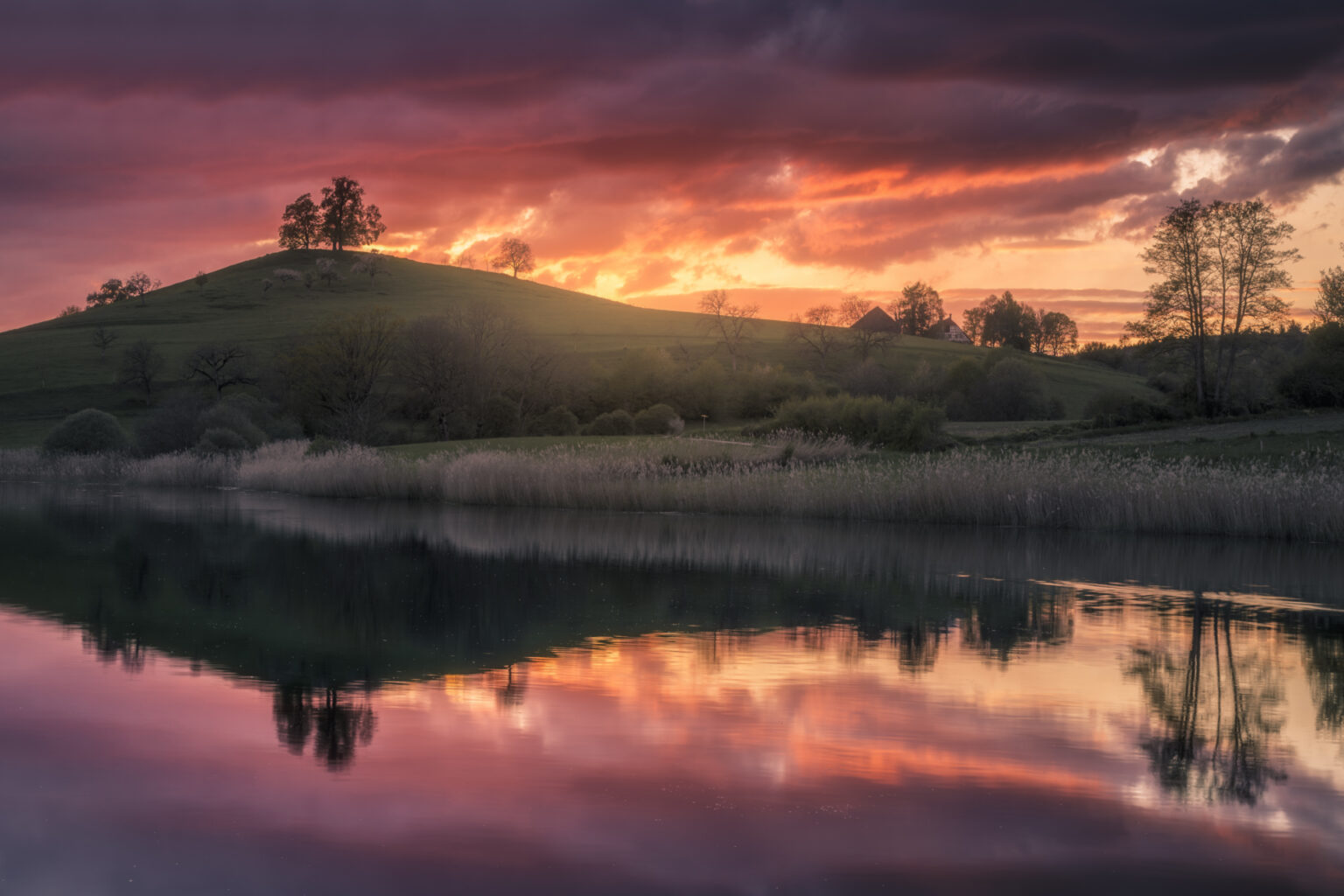 The Phlog Photography – Eine weitere WordPress-Website